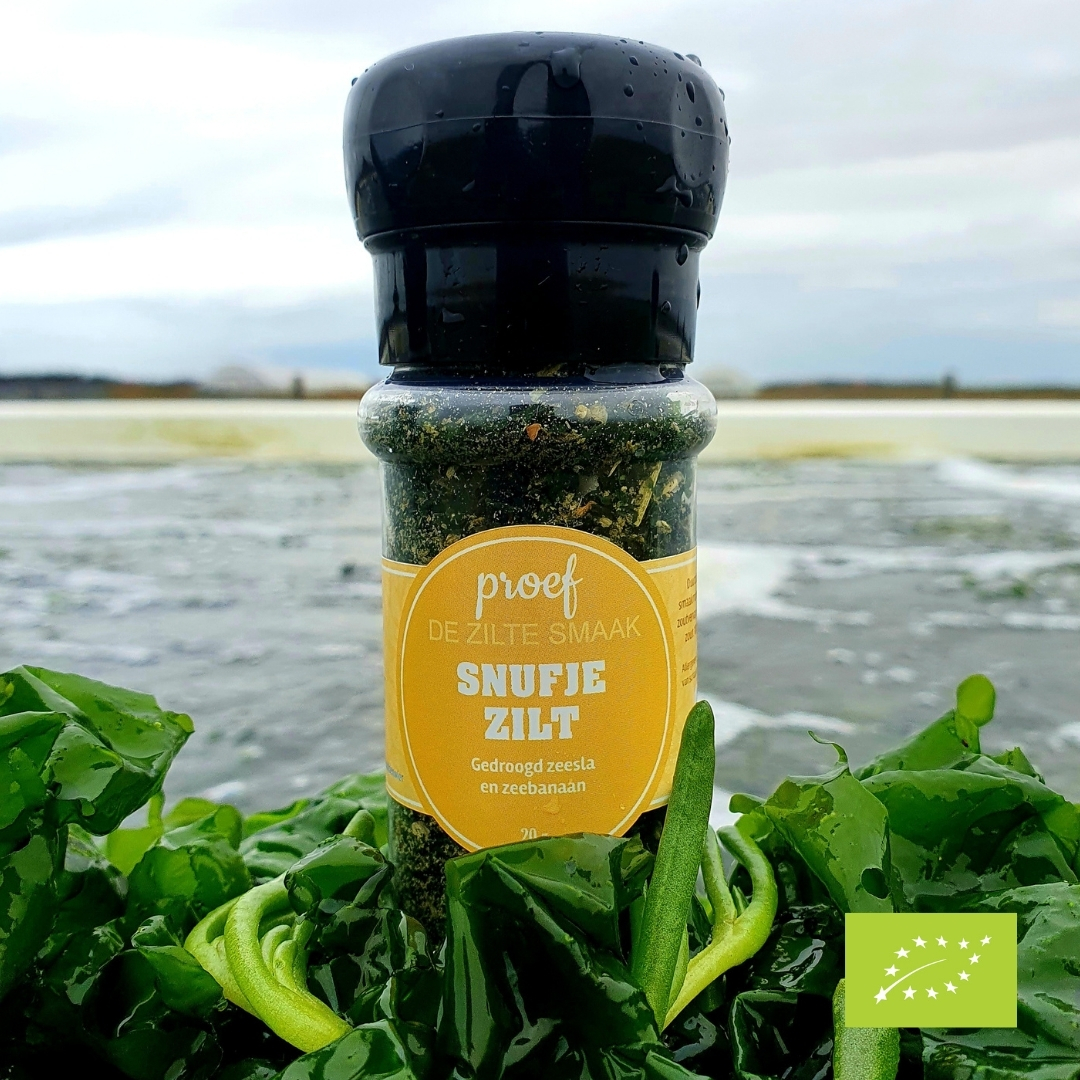 ZILTE KRUIDEN | WADZILT