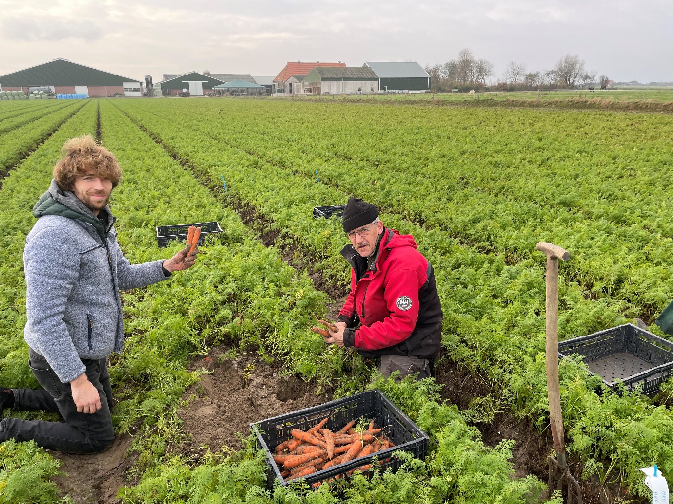 Zeker Zilt: Duurzaam telen met meer smaak. - WADZILT